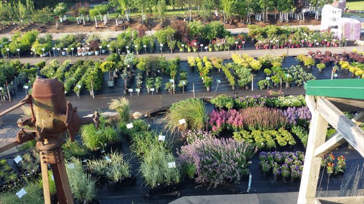 Dutch Meadows Garden Center & Landscaping - Garden Centers - Pella, IA