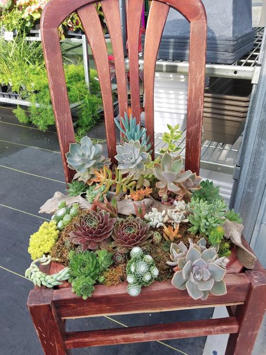 Dutch Meadows Garden Center & Landscaping - Garden Center - Pella, IA