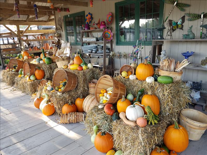 Dutch Meadows Garden Center & Landscaping - Pella, IA