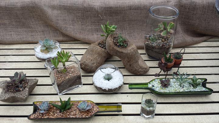 Dutch Meadows Garden Center & Landscaping - Garden Centers - Pella, IA