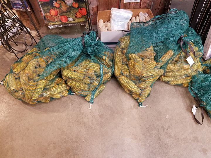 Dutch Meadows Garden Center & Landscaping - Pella, IA