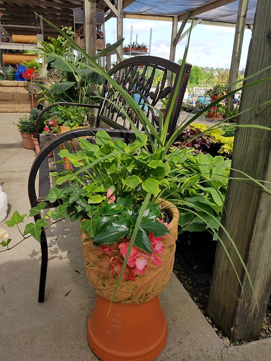 Dutch Meadows Garden Center & Landscaping - Pella, IA