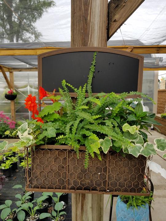 Dutch Meadows Garden Center & Landscaping - Pella, IA