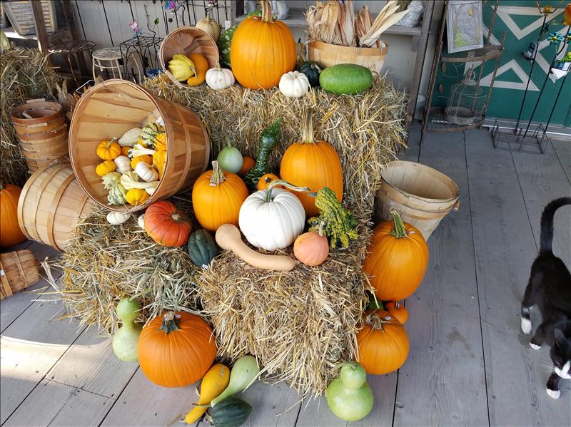 Dutch Meadows Garden Center & Landscaping - Pella, IA